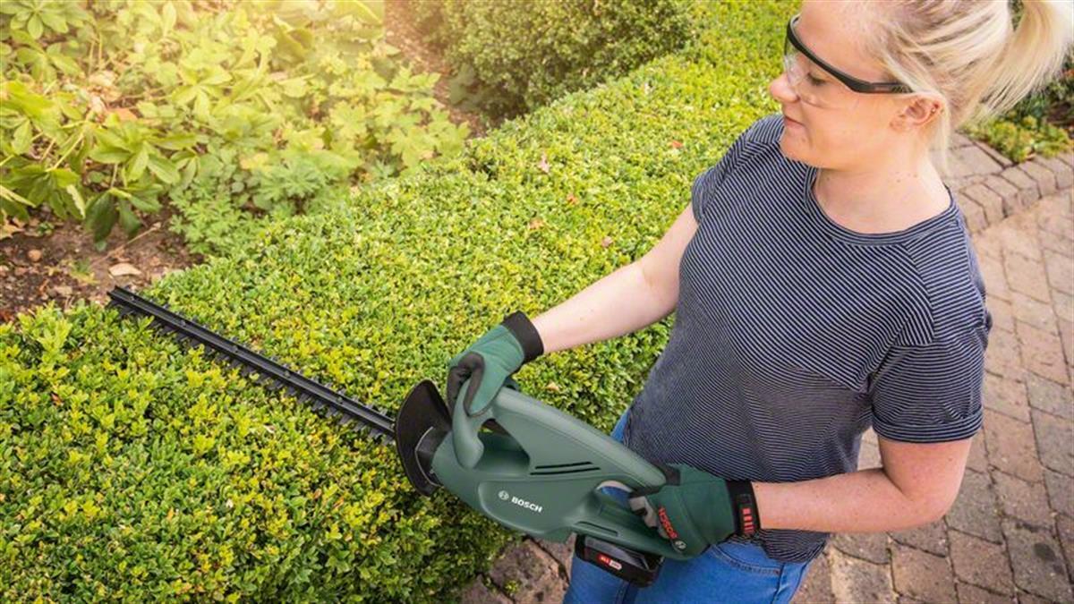 Nieuwe Heggenschaar - Bosch EasyHedgeCut 18-45 | rotopino.nl